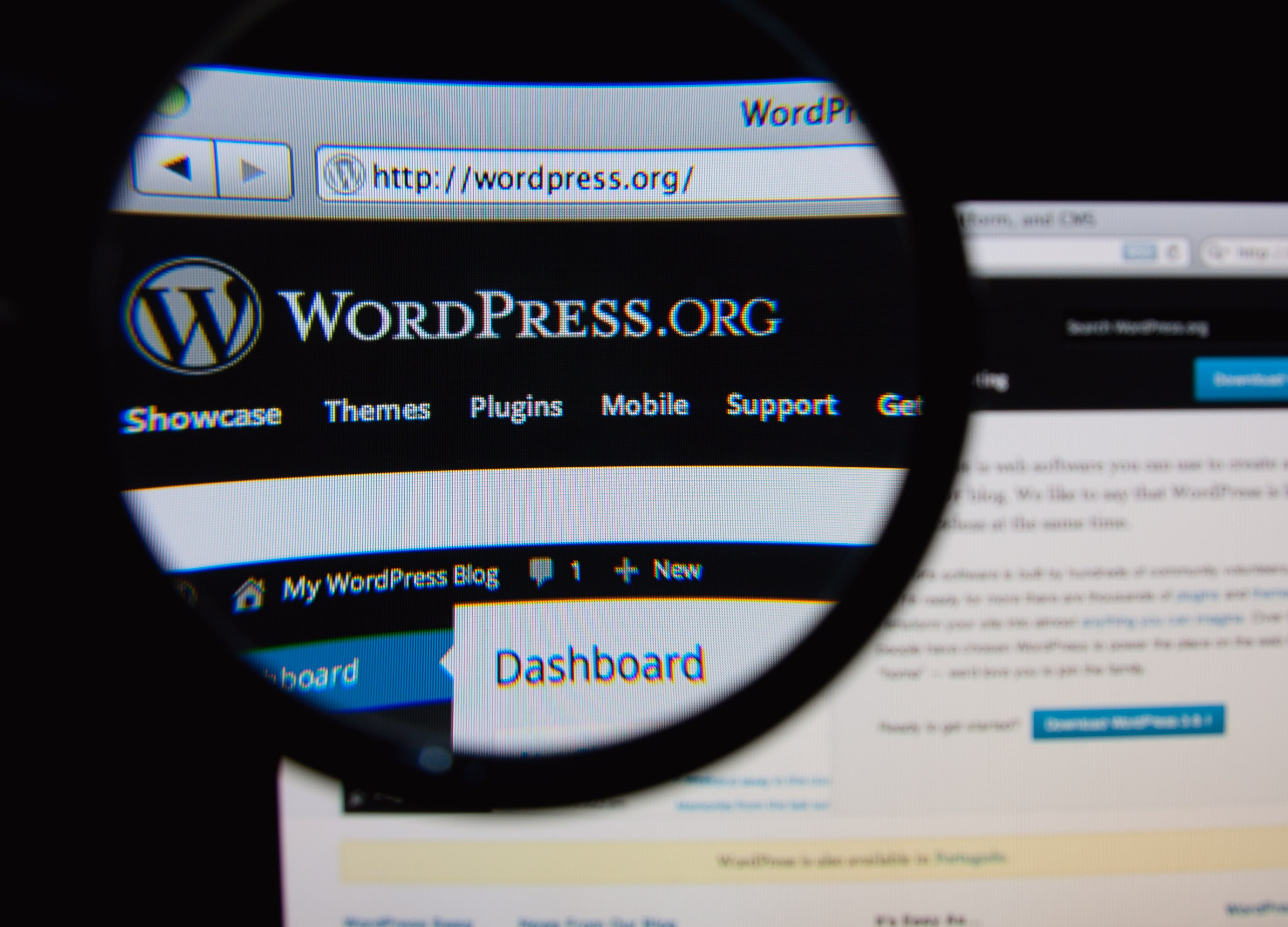 wordpress - Uintadigital.com